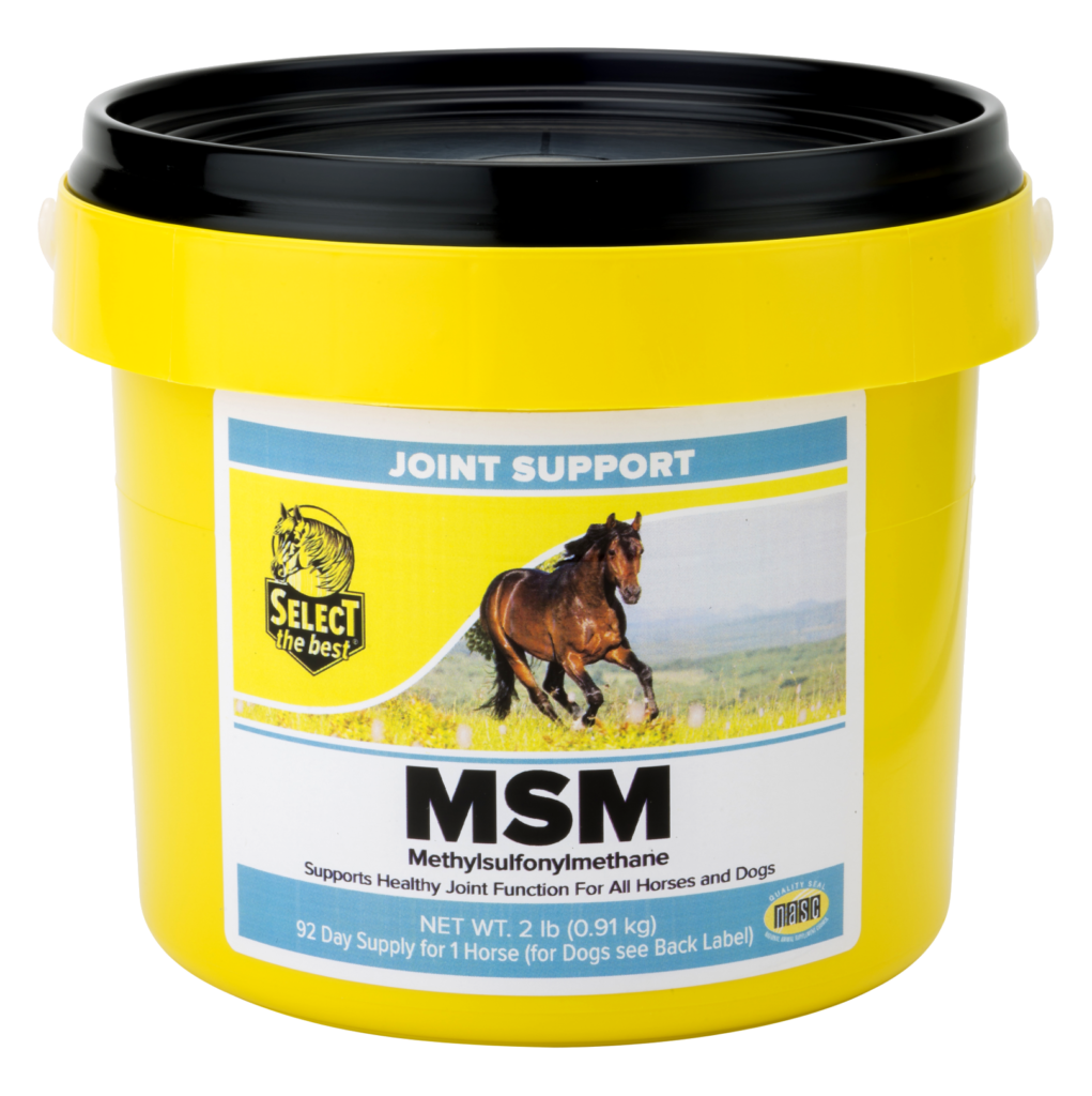 MSM - Select The Best