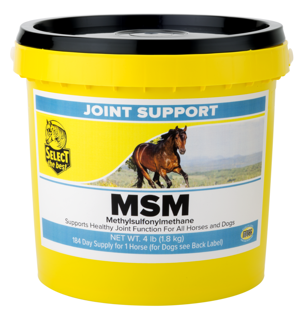 MSM - Select The Best