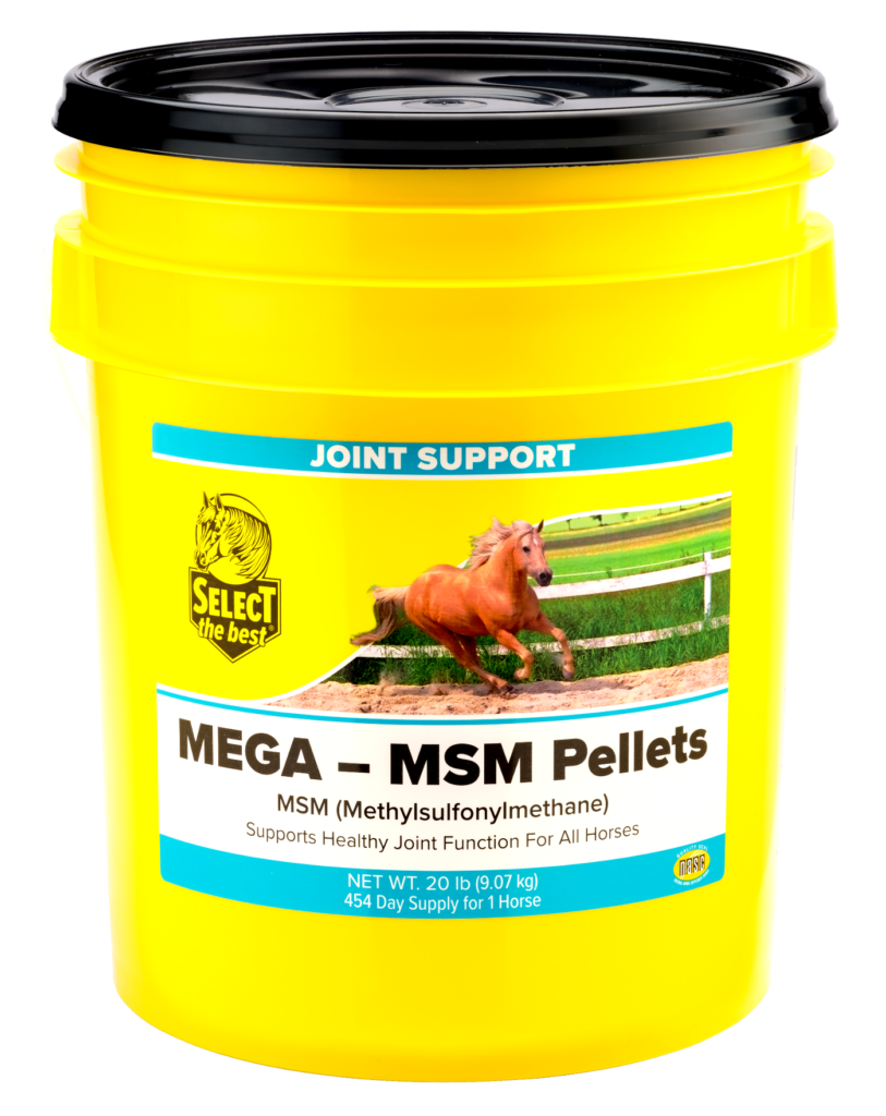 Mega-MSM™ - Select The Best