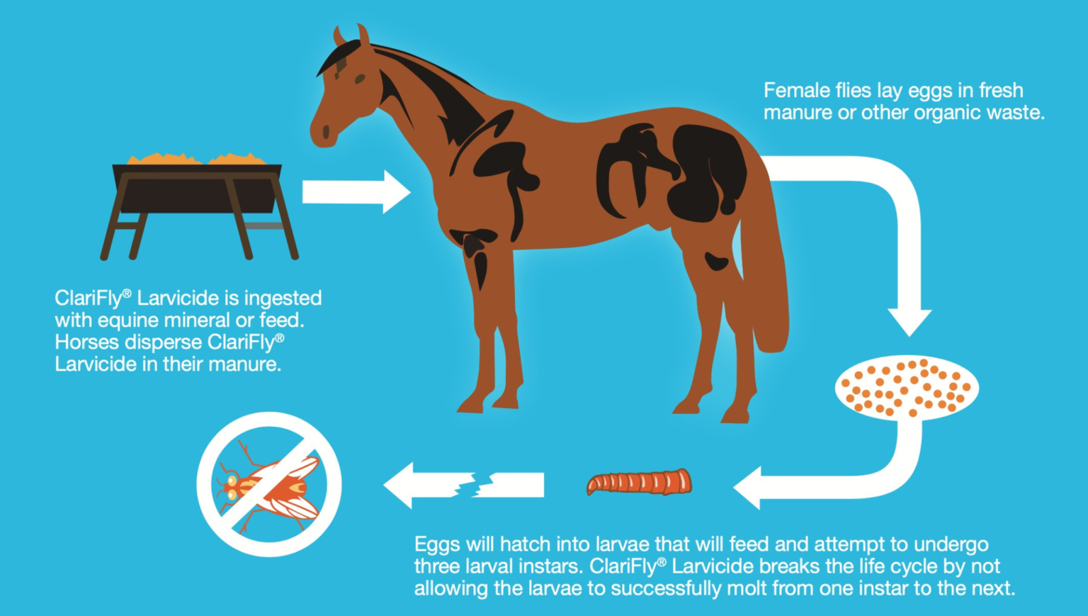 Nu-Image ClariFly®: The ultimate blend for your horse, combining a ...